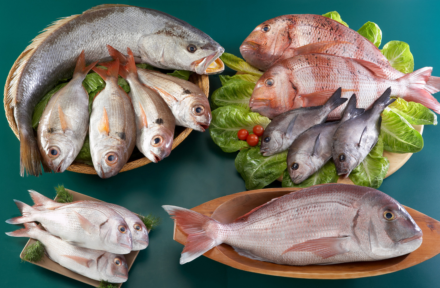 Busca gobierno de Jalisco impulsar exportación de productos pesqueros y ...